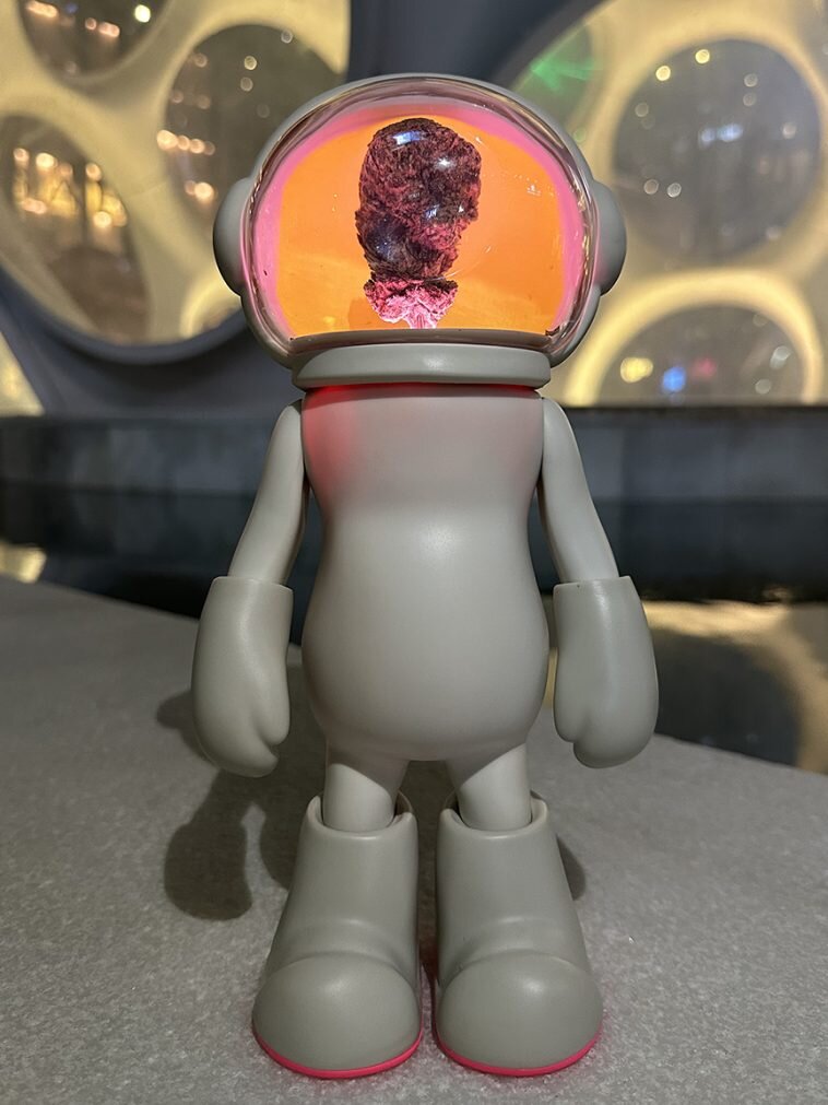 Wacky Backy Presents BUD & DOOBIE -Planet Earth Takeover - The Toy ...